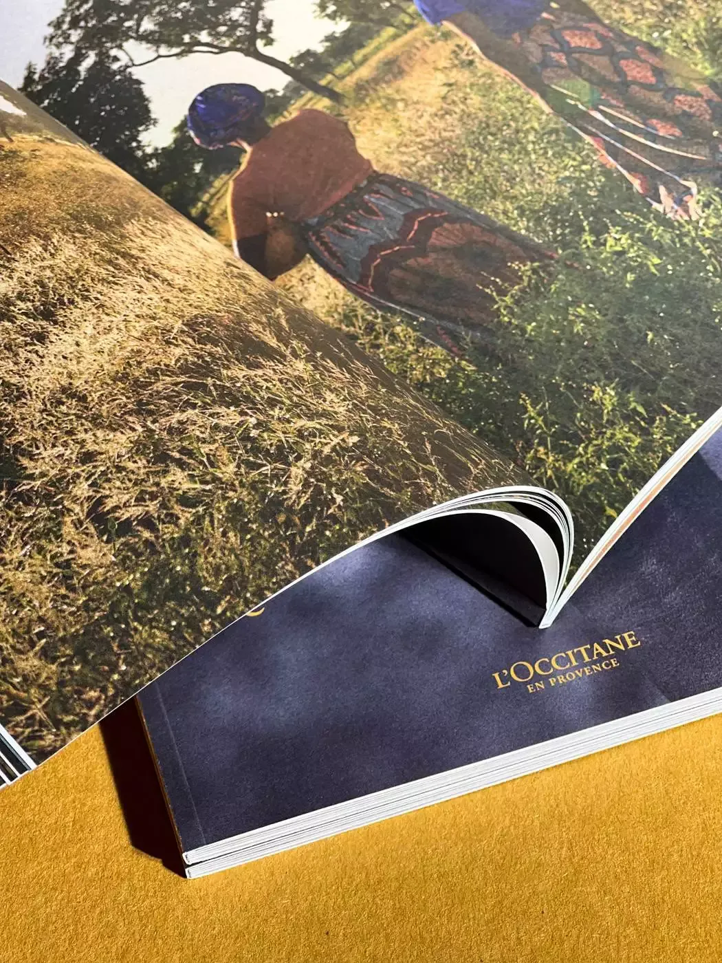 Les différents types de papiers : offset, couchés...